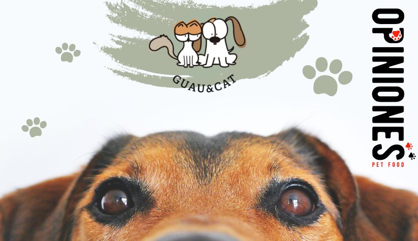 Guau and cat: opiniones verificadas sobre Guau&Cat - Petfood Opiniones
